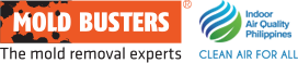 Mold Removal Manila - Mold Busters
